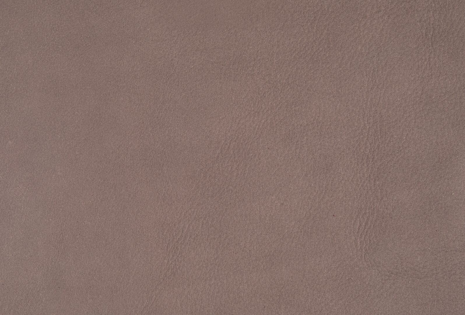 Kashmir Charme | Baxter