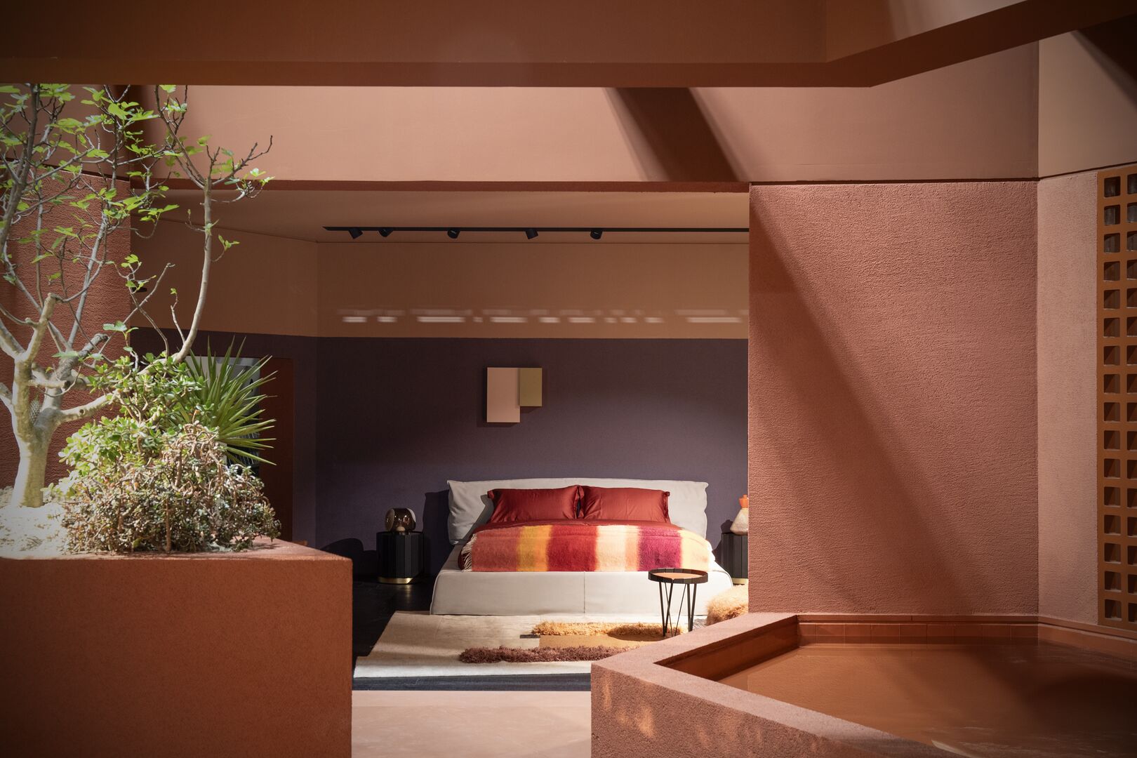 The Clay House 2024 | Baxter