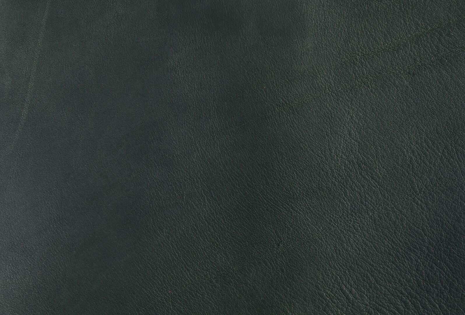 Cloister Garden | Baxter