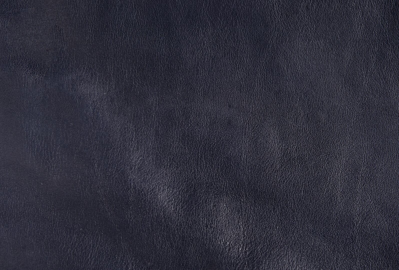 Polish Berry | Baxter