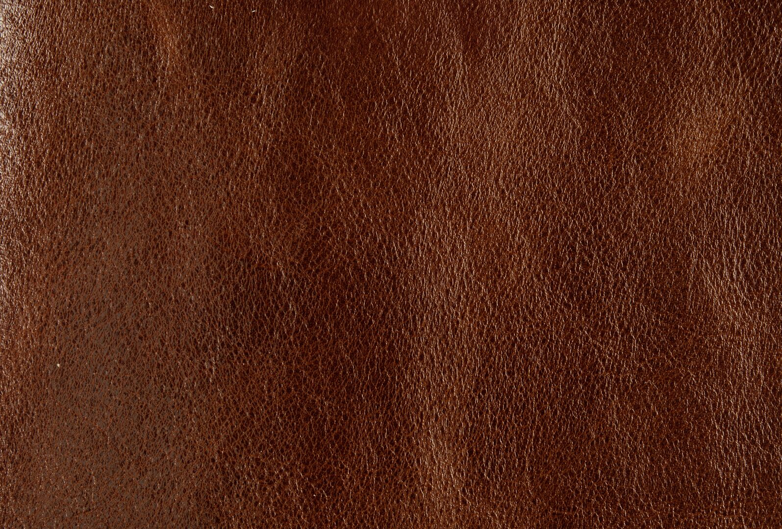 Tuscany Siena | Baxter