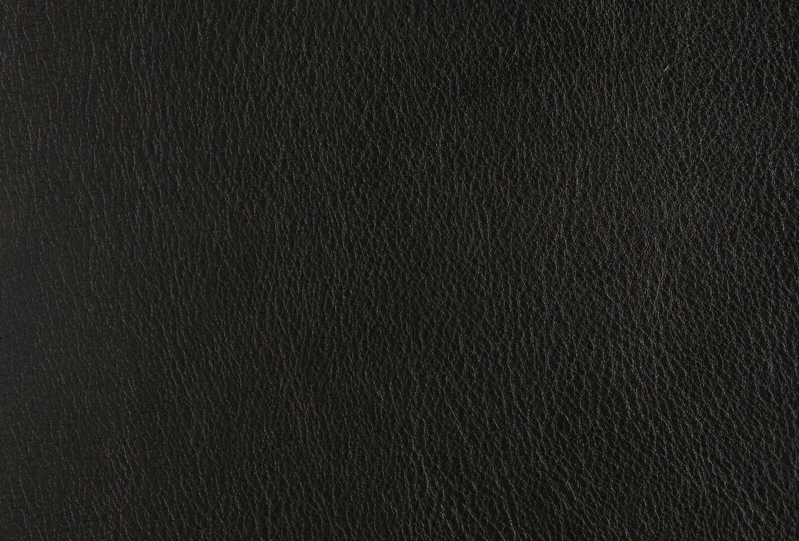 Polish Deep | Baxter