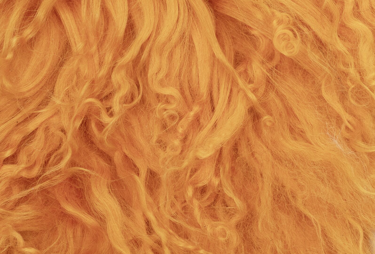 Mongolia Orange | Baxter