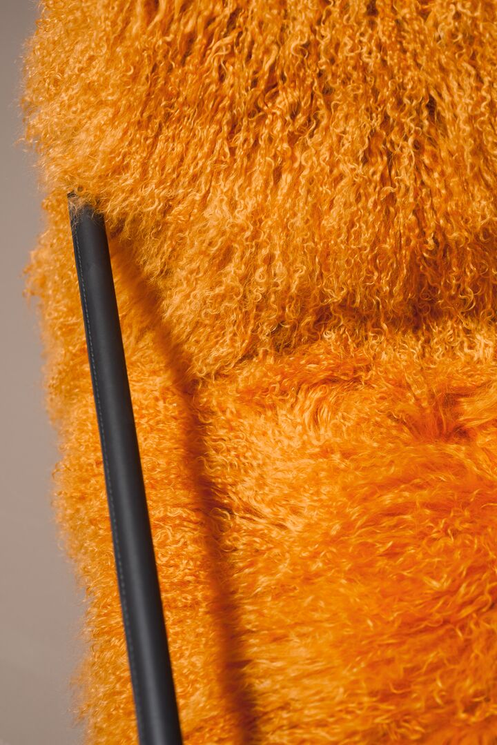 Mongolia Orange | Baxter