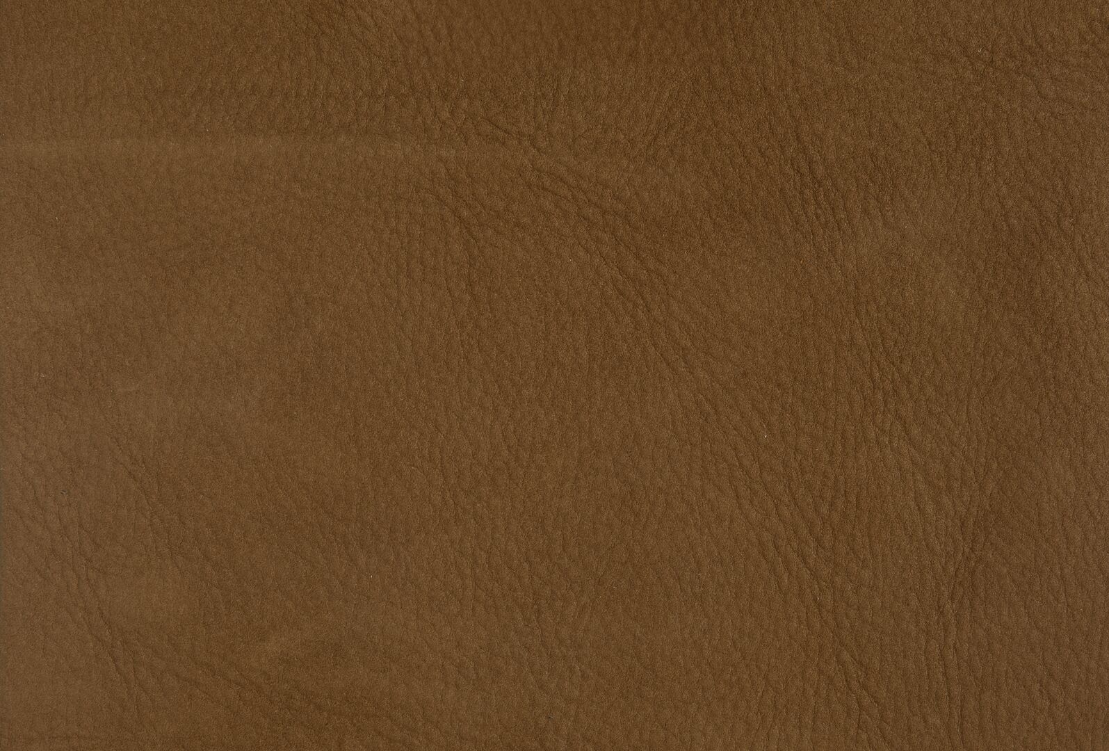 Kashmir Cognac | Baxter