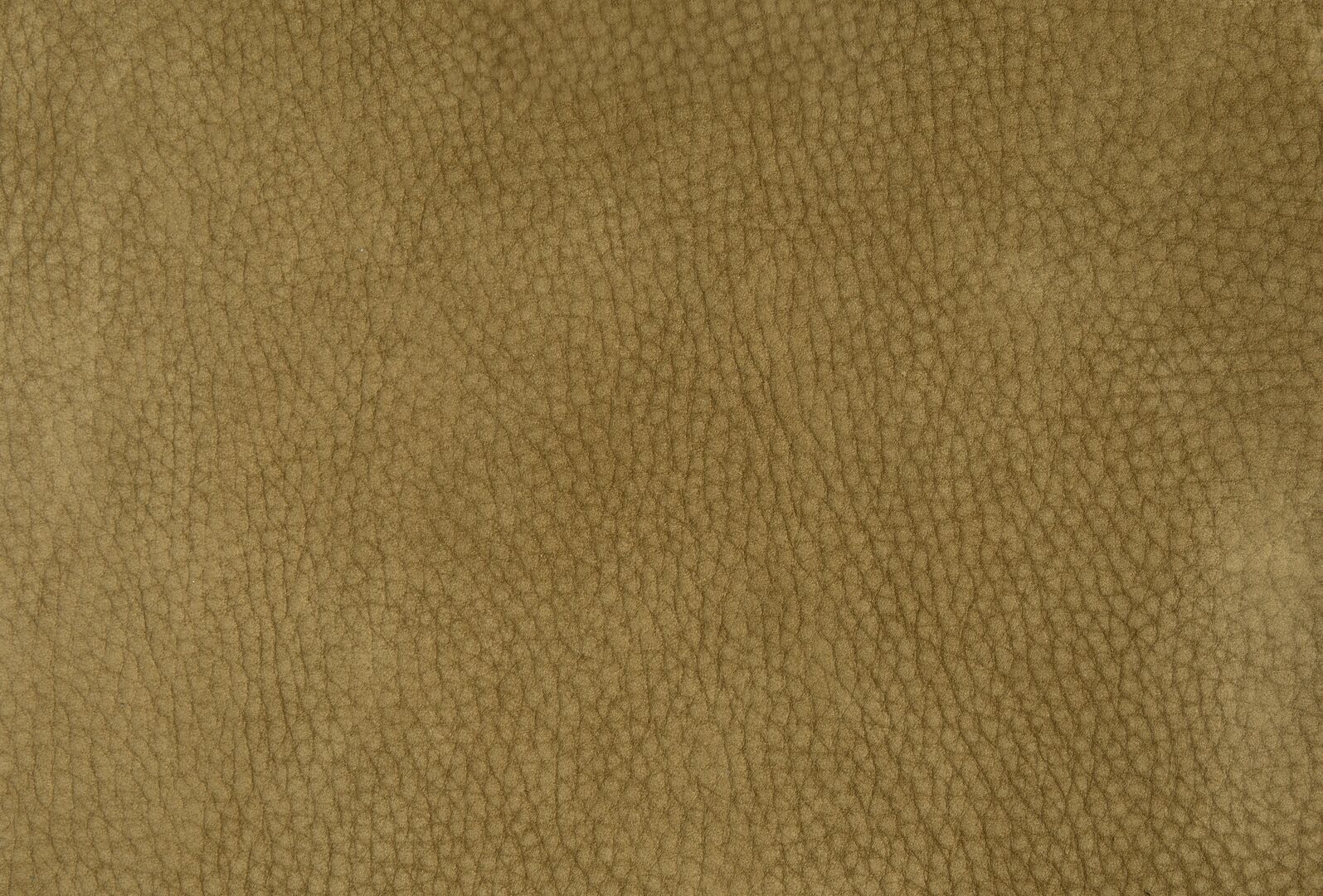 Nabuck Kiwi | Baxter