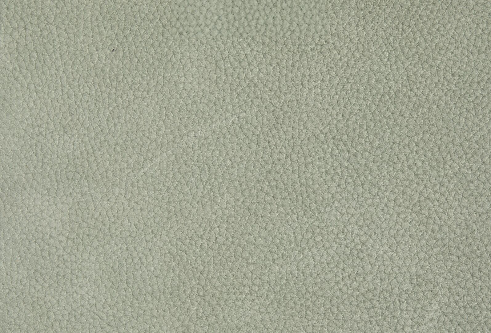 Nabuck Sage | Baxter