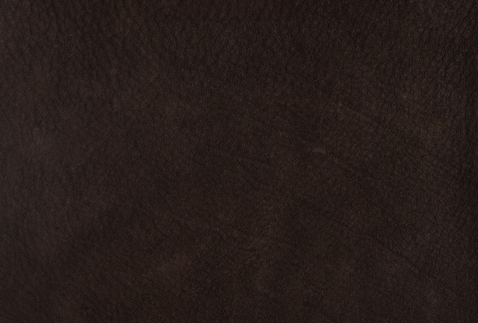 Kashmir Brulé | Baxter